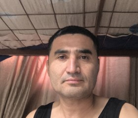 alisher zokirov, 44 года, Москва