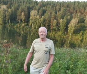 Владимир, 70 лет, Кемерово