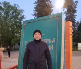 Степан Харитонов, 38 лет, Дмитров
