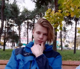 Владислав, 25 лет, Дмитров