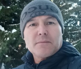 Роман, 49 лет, Нижнекамск