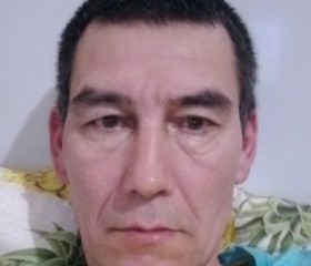 Андрей, 54 года, Краснодар