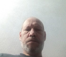 Аркадий, 48 лет, Челябинск