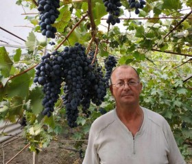Николай, 56 лет, Tiraspolul Nou