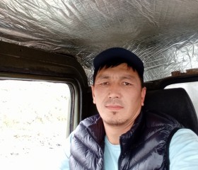 Алтуха, 37 лет, Бишкек