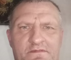 Сергей, 53 года, Тула