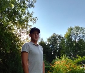 Владислав, 35 лет, Тула