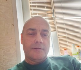 Саныч, 53 года, Сургут