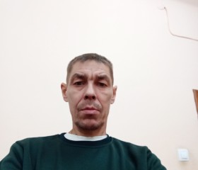 Роман, 51 год, Казань