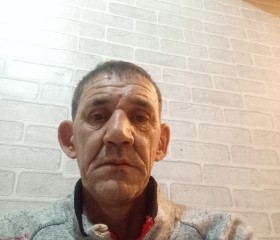 рафа Зиннатуллин, 50 лет, Казань