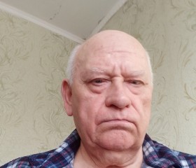 Владимир, 70 лет, Веселе