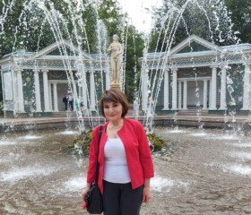 Регина, 53 года, Ногинск