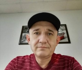 Roman, 49 лет, Набережные Челны