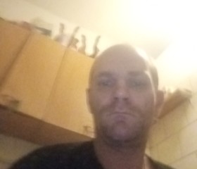 Zbyszek, 44 года, Katowice