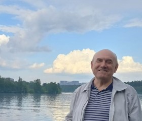 Лев, 70 лет, Нахабино