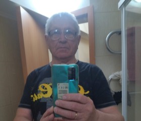 Владимир, 73 года, Великий Новгород