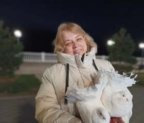 Хризантема, 60 лет, Абинск