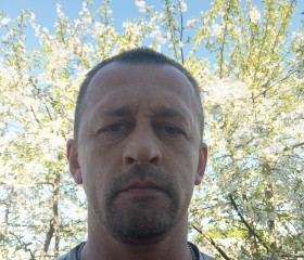 wulf, 42 года, Віцебск