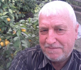 Мелисшахметьяров, 74 года, Toshkent