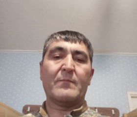 Рустам, 43 года, Брянск
